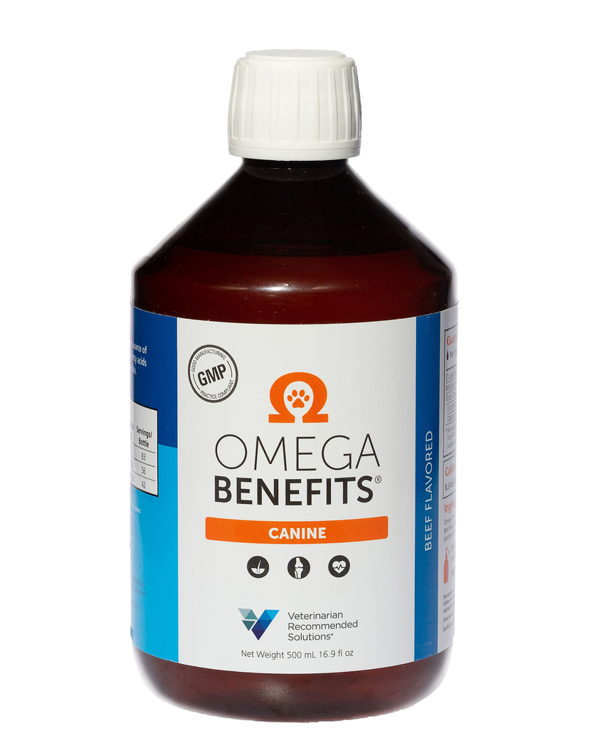Canine Omega Benefits - Veterinarian Recommended Solutions